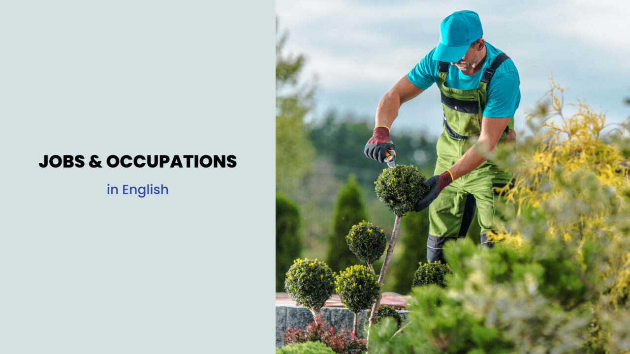 Occupations Vocabulary in English: 100+ Job Titles List